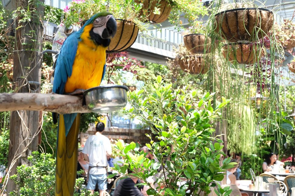 The Grounds of Alexandria - Travel Drink Dine