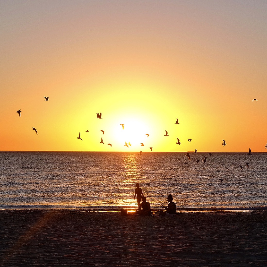 Discover What to See and Do in Adelaide - Travel Drink Dine